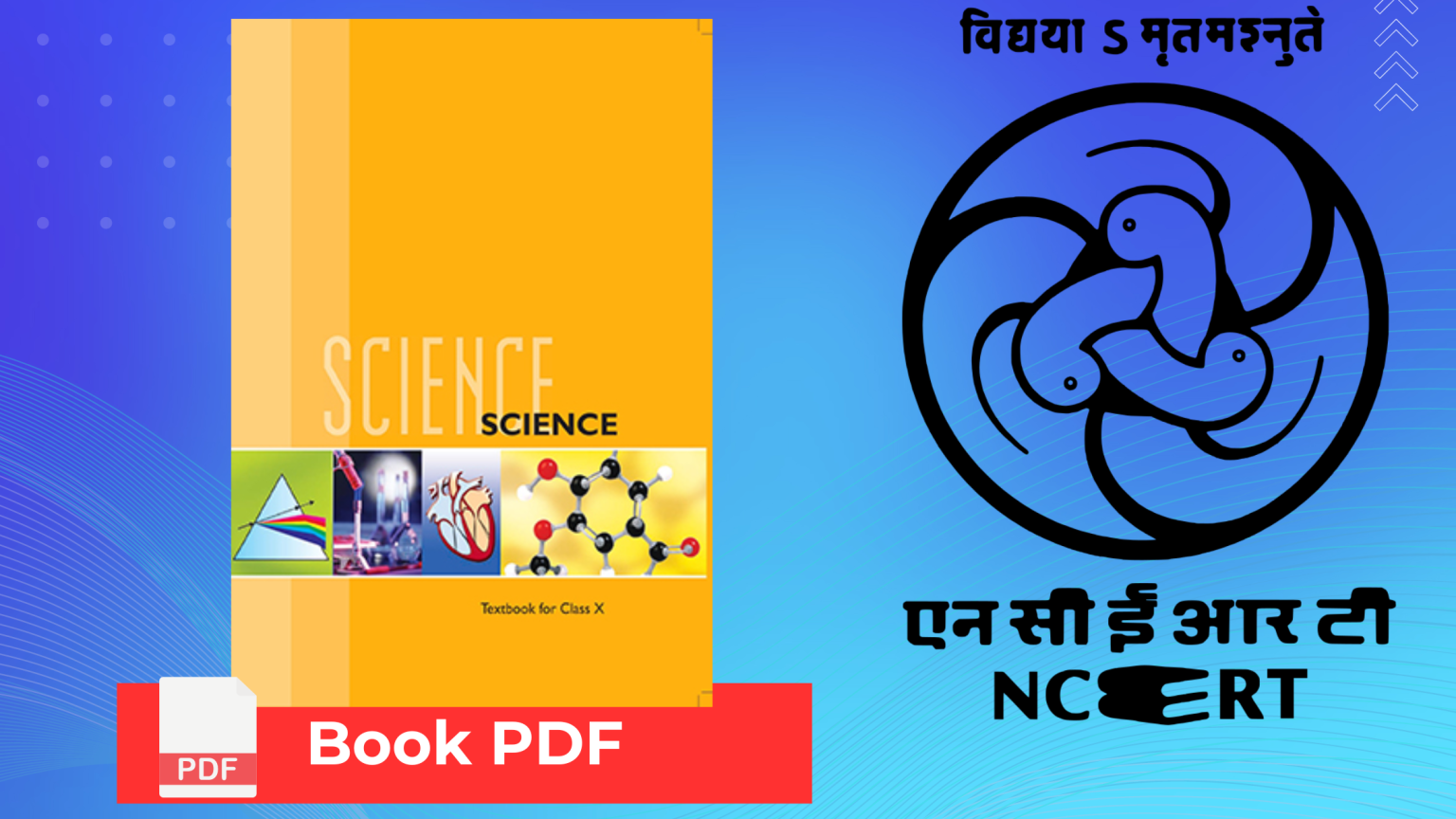 NCERT Class 10 Science Book PDF (English And Hindi) Download
